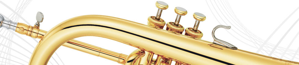 Find The Best Flugelhorns And Accessories | Dawkes Music UK