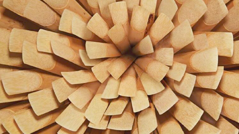 The Reed Cane Journey - From Field to Factory | Dawkes Music