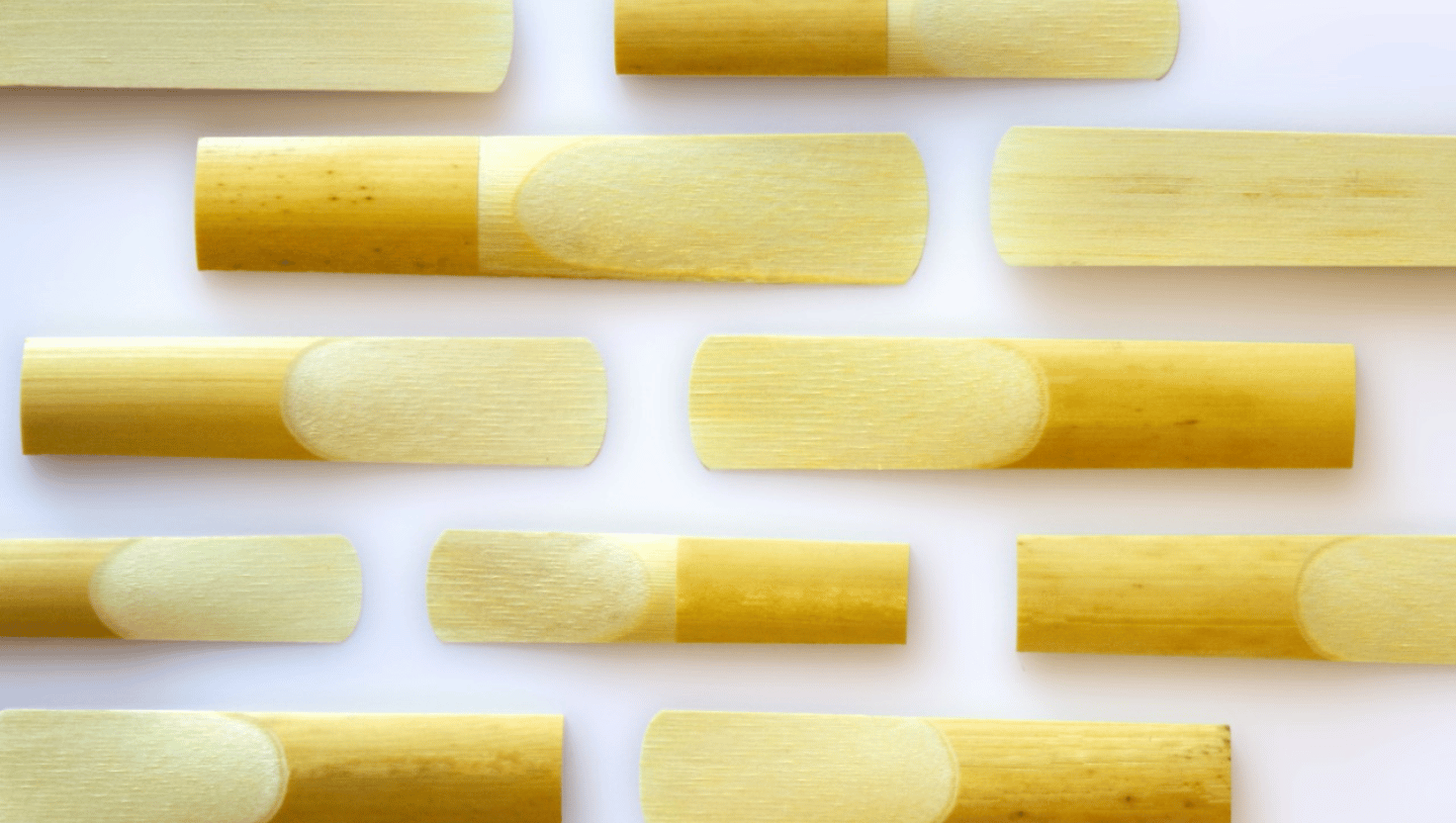 Caring for Your Single Reeds: Essential Tips for Clarinet and Saxophone ...